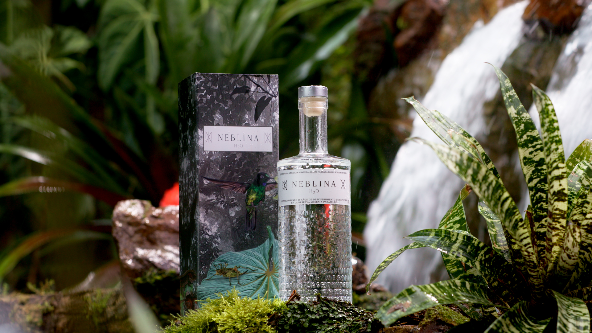 Fine Bottled Water - Neblina H2O